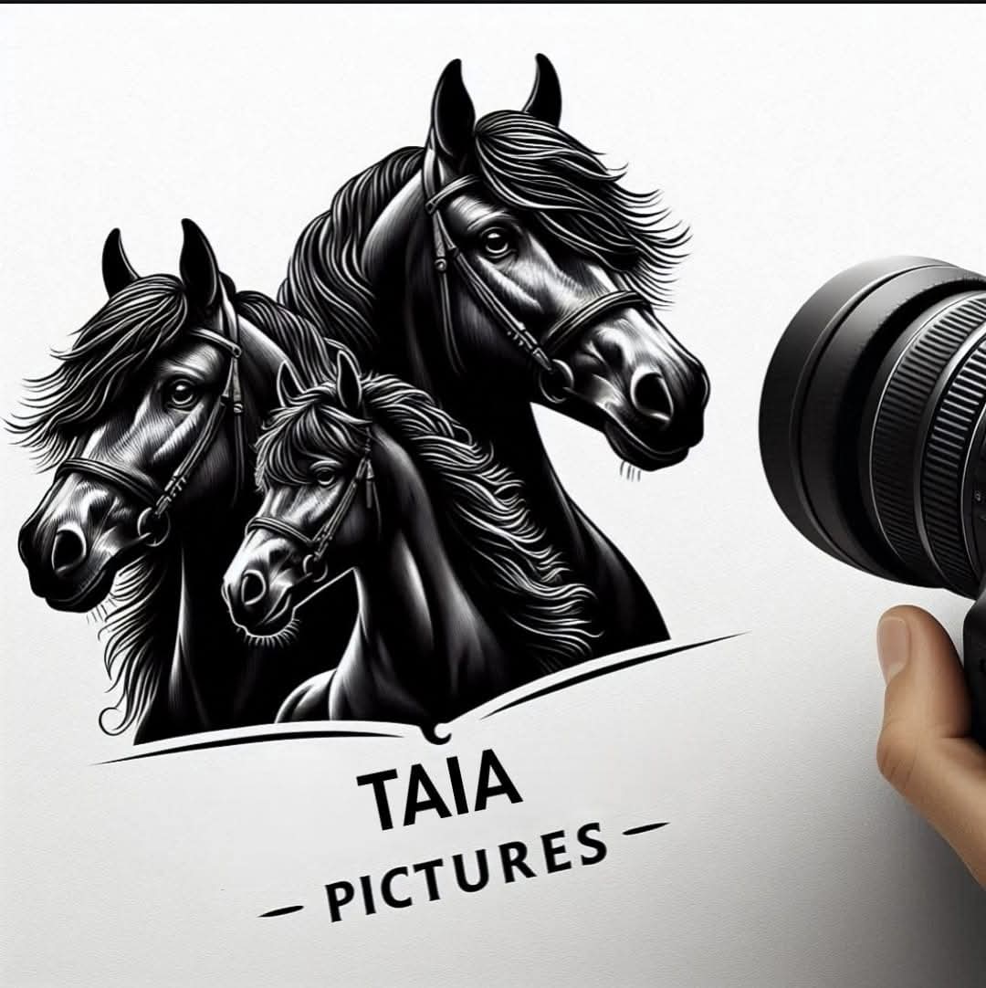 Taia-Pictures